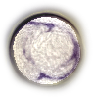 Orb of Light - Kingdom Hearts Wiki, the Kingdom Hearts encyclopedia