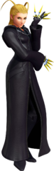 Real Organization XIII - Kingdom Hearts Wiki, the Kingdom Hearts ...