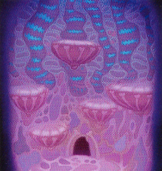 Gallery:Monstro - Kingdom Hearts Wiki, the Kingdom Hearts encyclopedia